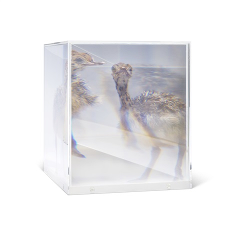 PixCell Ostrich1 by Kohei Nawa on artnet